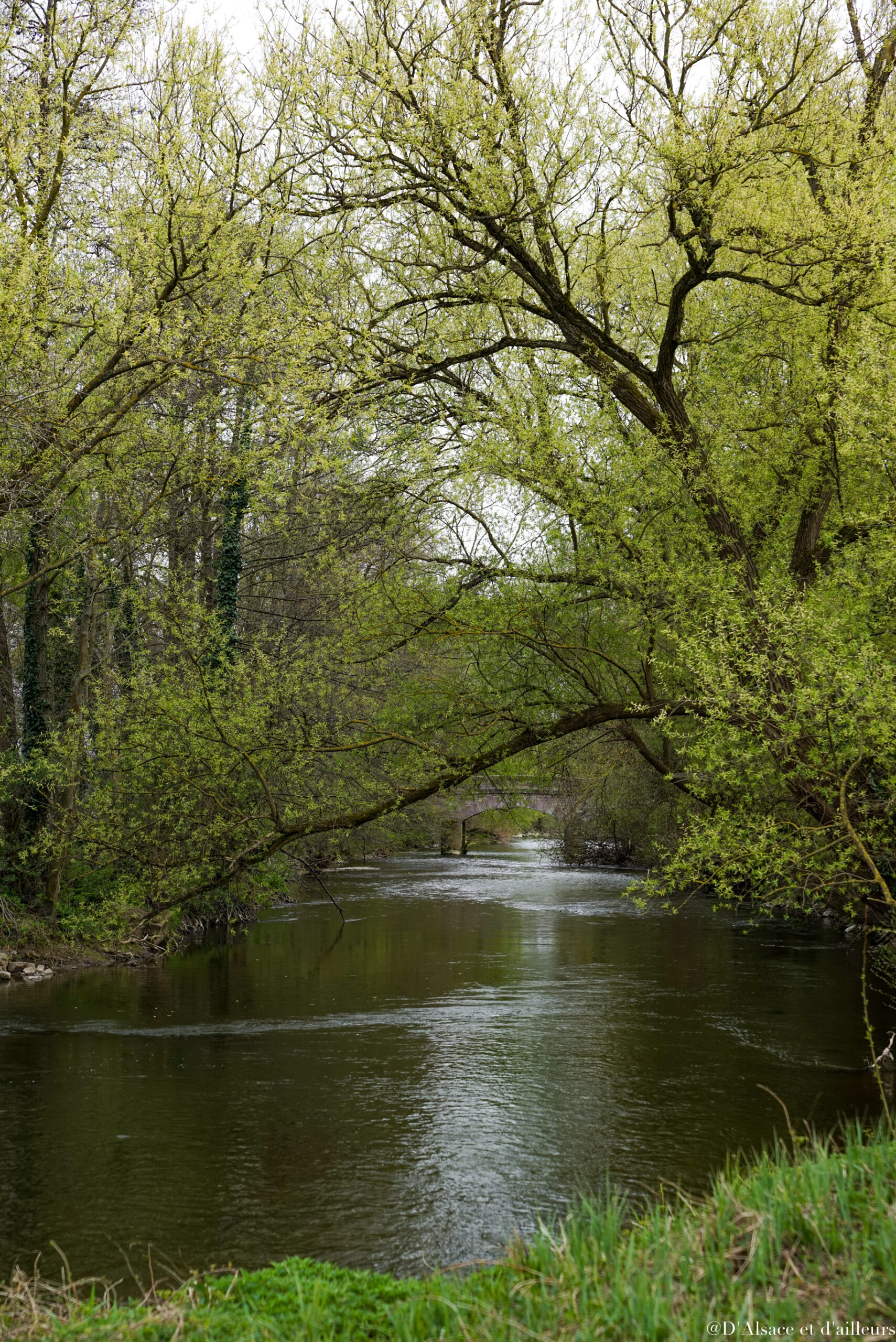 Balade au long de la Zorn de Geudertheim vers Bietlenheim - Bas-Rhin ...